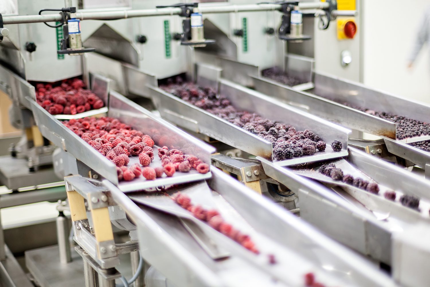 Custom Metal Fabrication Solutions for the Food Processing Industry